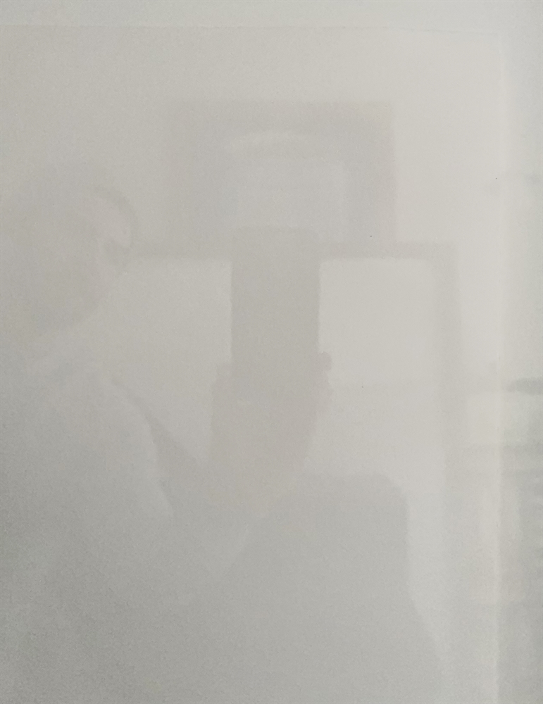 Raphael (from Men in the Cities) by Robert Longo on artnet Auctions